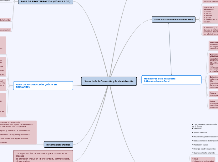 Fases de la inflamación y la cicatrización - Mind Map
